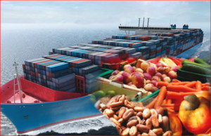 FG Inaugurates Committee For Agro-export Standardization - Greener Health